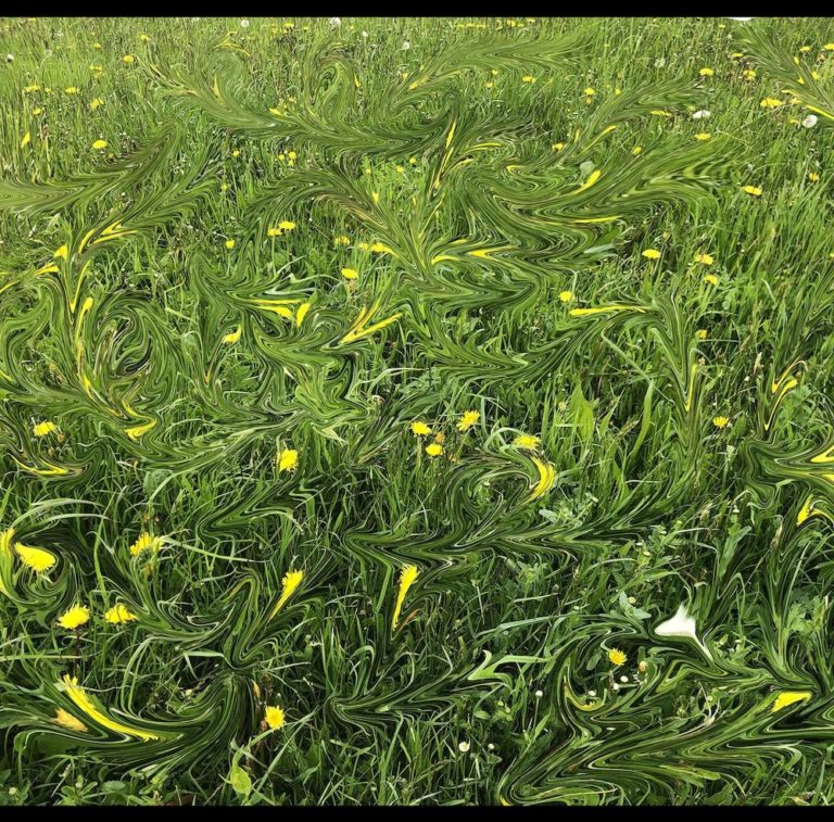 FLORAE - muu-baa -muu-baa